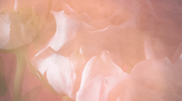 Temple Iconography: Understanding the Art of Sacred Symbols and Murals ...